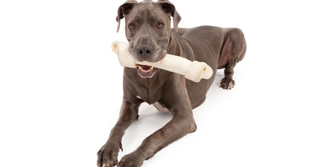 Rawhide vs Beef Hide — DriedDogTreats