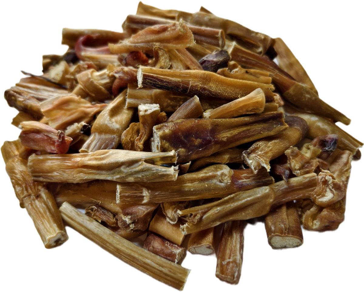 Beef Pizzle Ends — DriedDogTreats