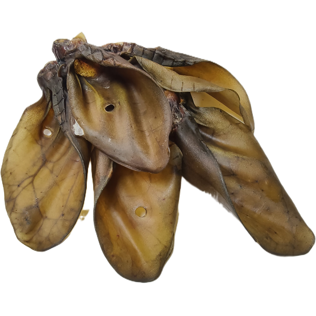 Beef Ears — DriedDogTreats