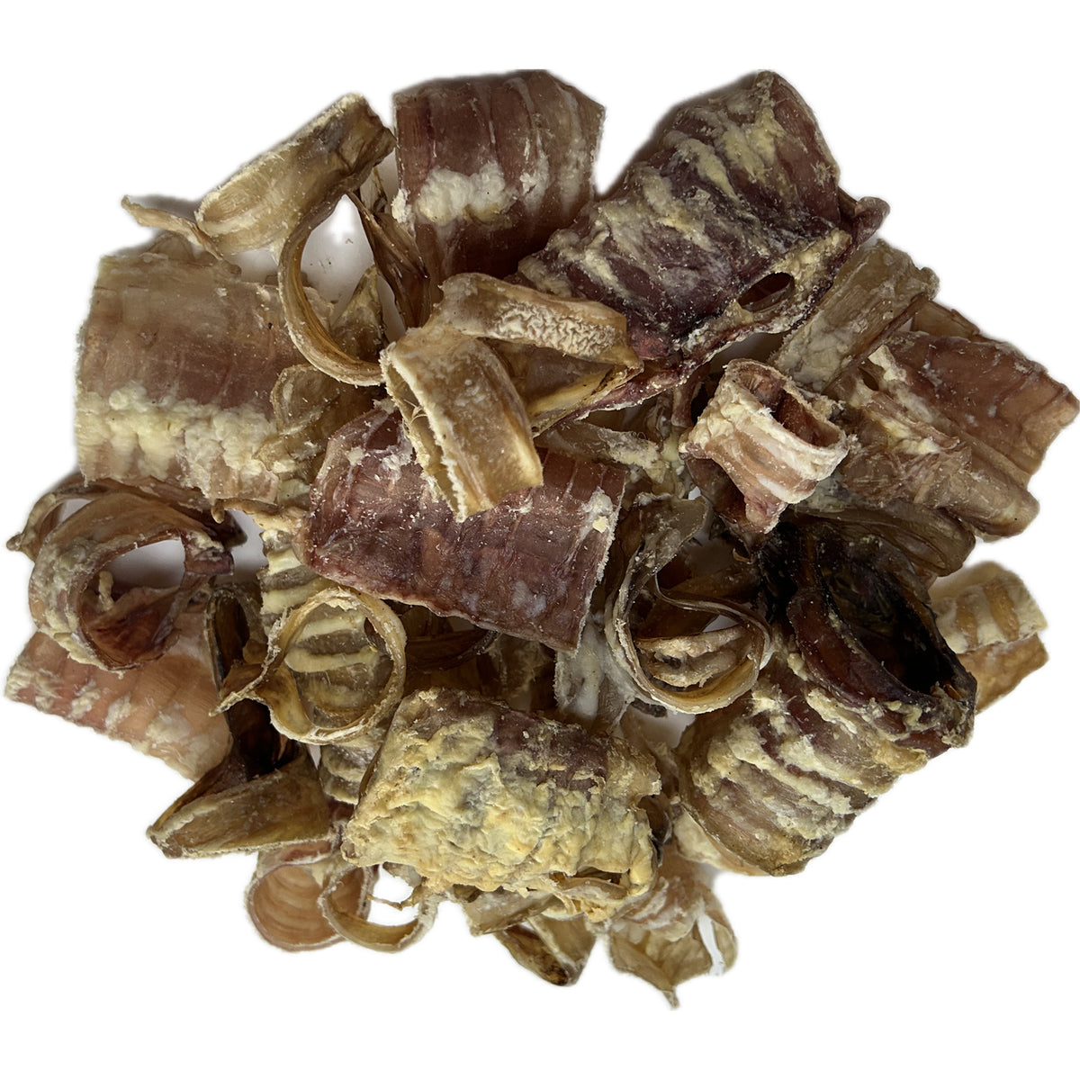 Beef Trachea - 3-5 cm — DriedDogTreats