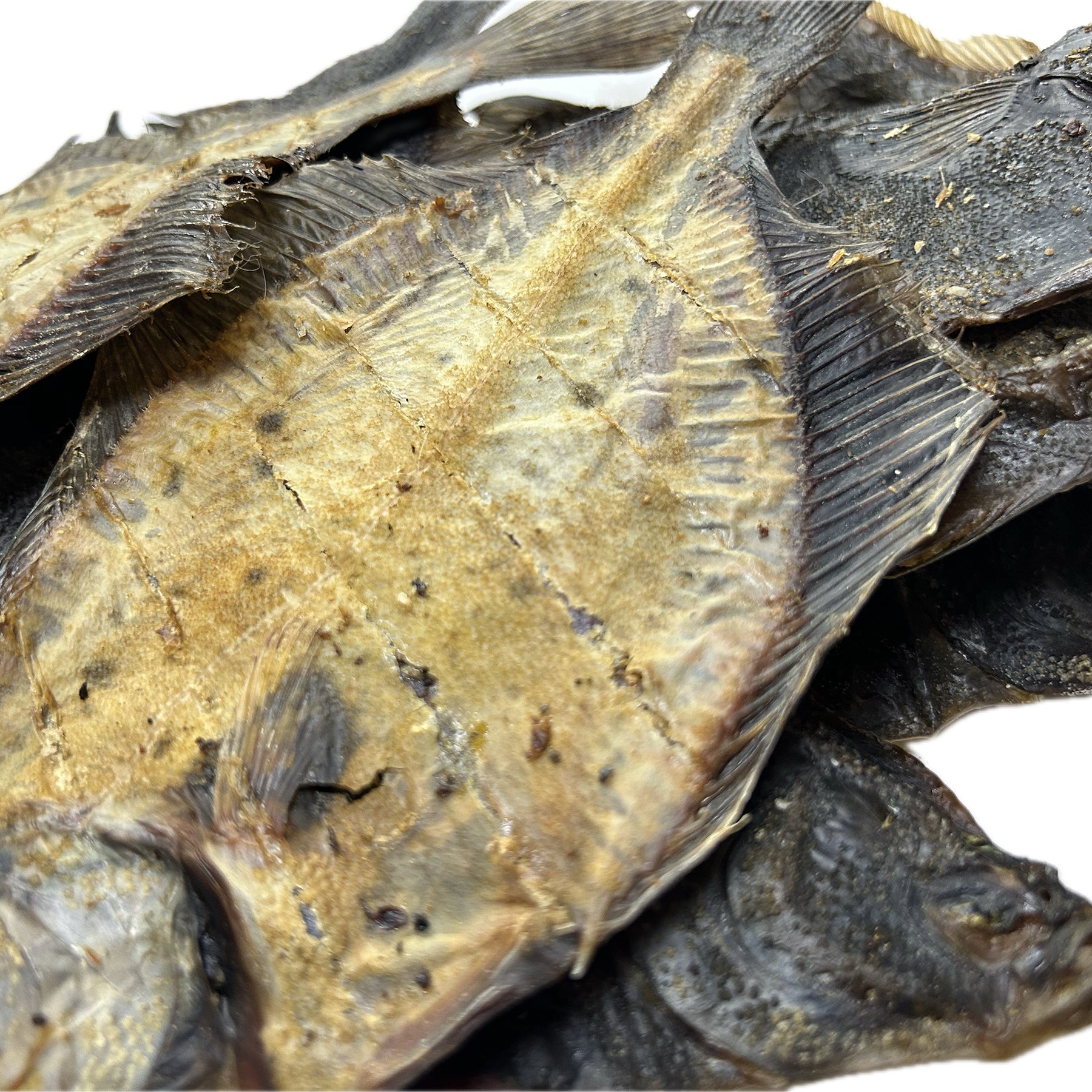 Fish Flounder — DriedDogTreats