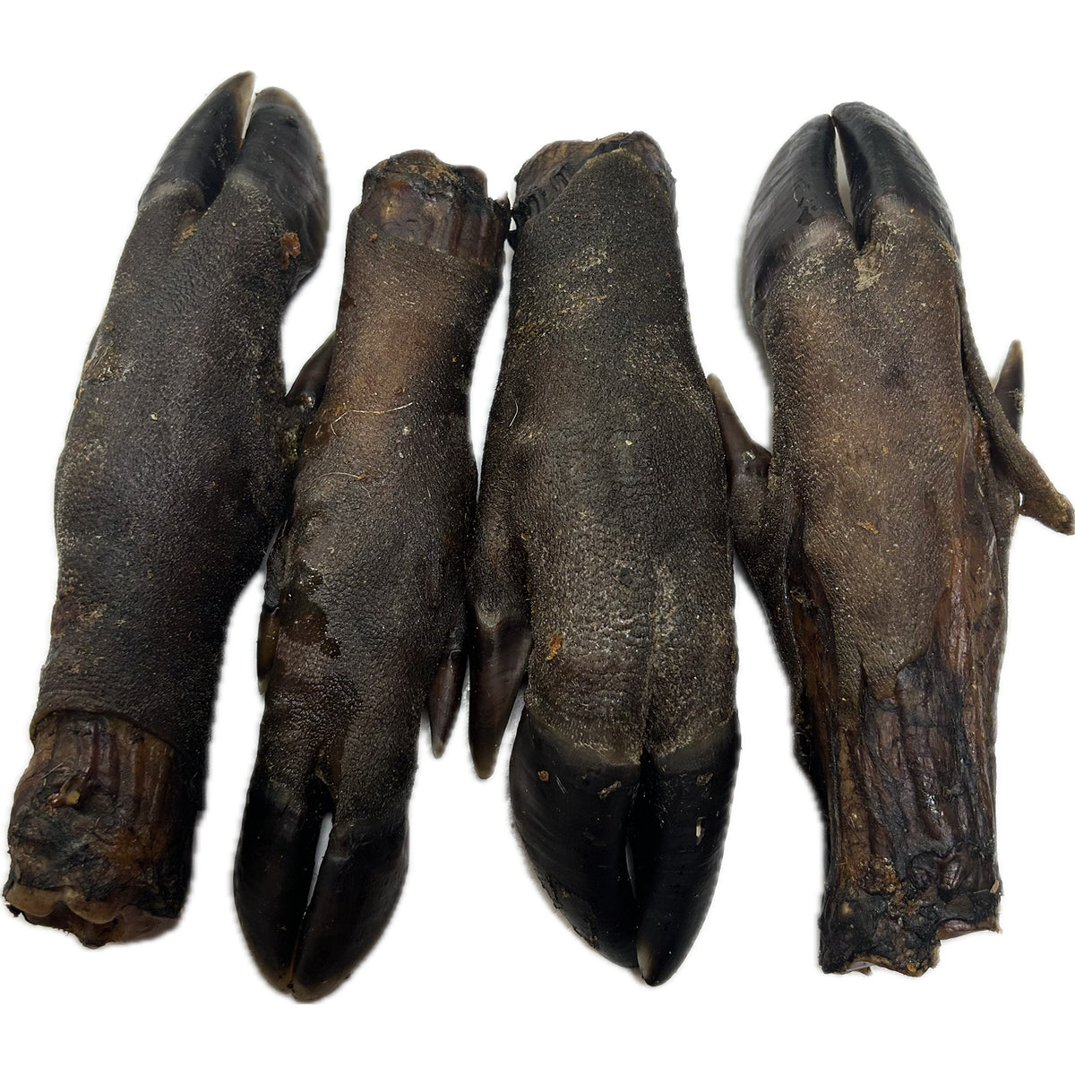 Wild Boar Legs – 100% Natural, Long-Lasting Dog Chews Packed with ...